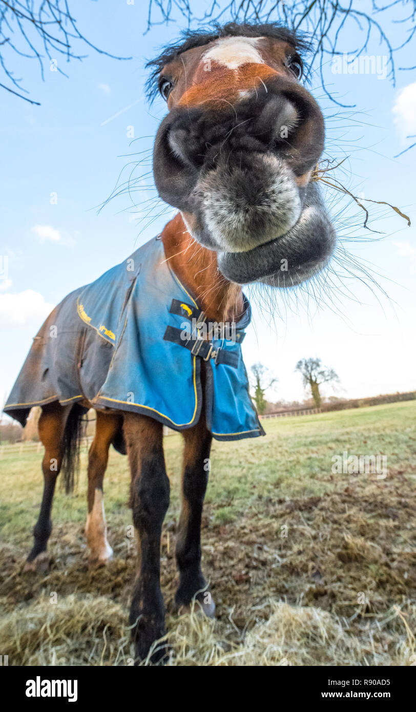 Distorted image hi-res stock photography and images - Alamy