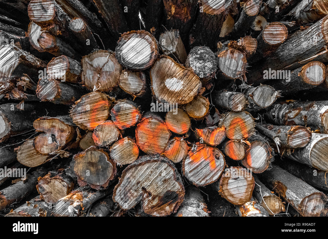 Log stack hi-res stock photography and images - Alamy