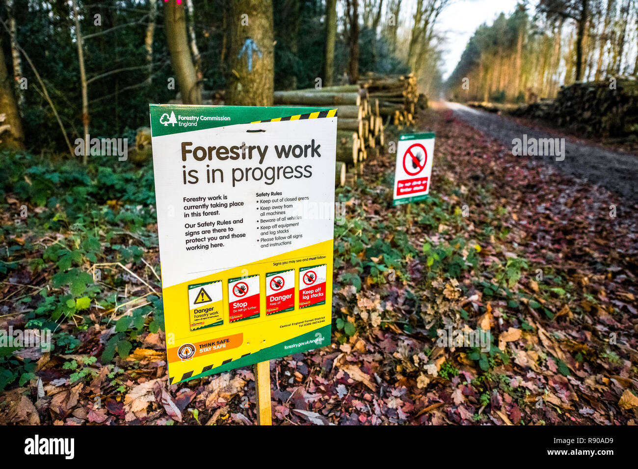 Forestry Commission Health and Safety sign "Keep off Log Stacks Stock ...