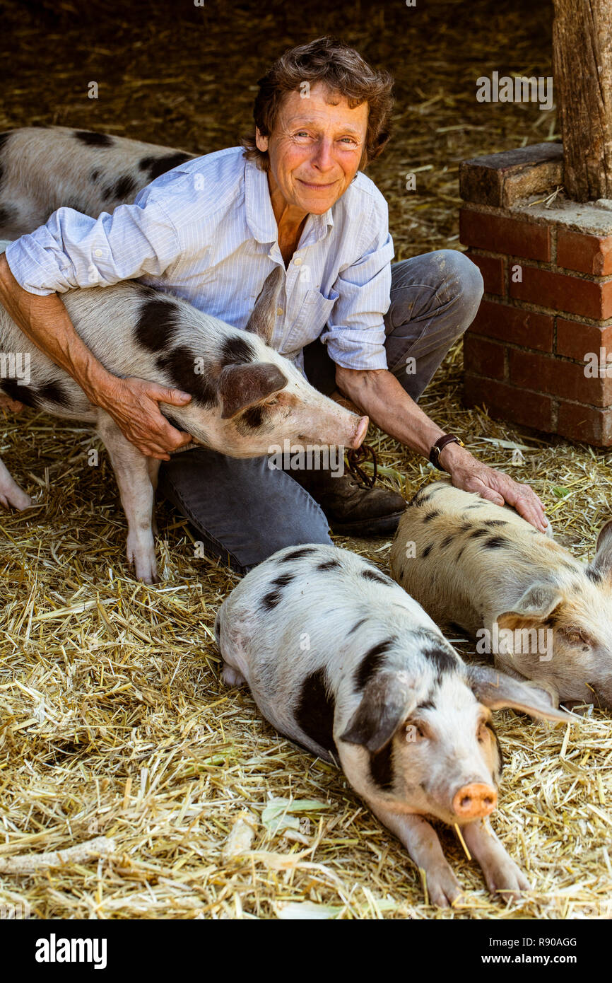 Smiling senior woman kneeling in barn with Gloucester Old Spot pigs ...