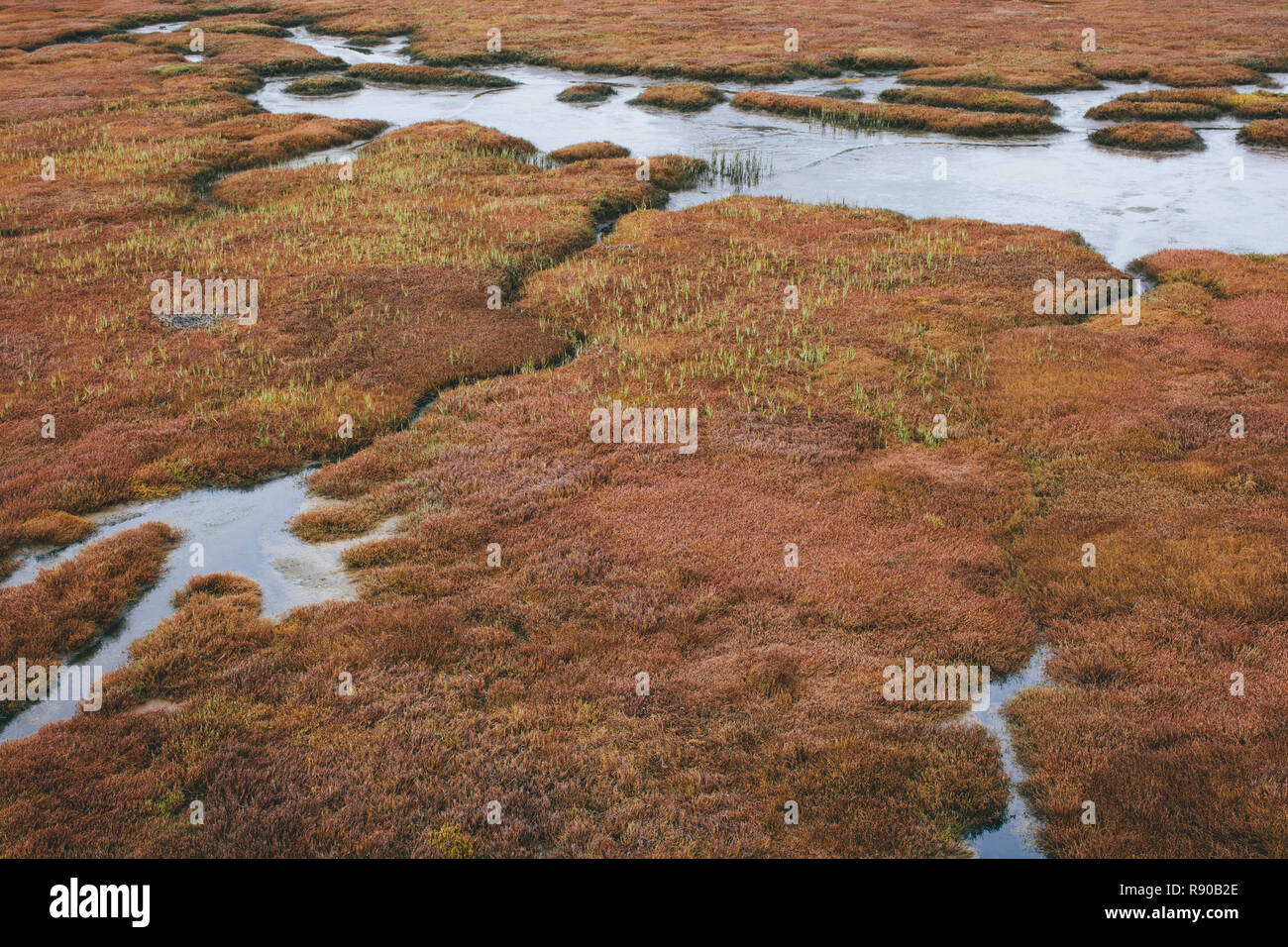 Elevated view of marsh and tidelands at dusk, Drakes Estero, Point ...