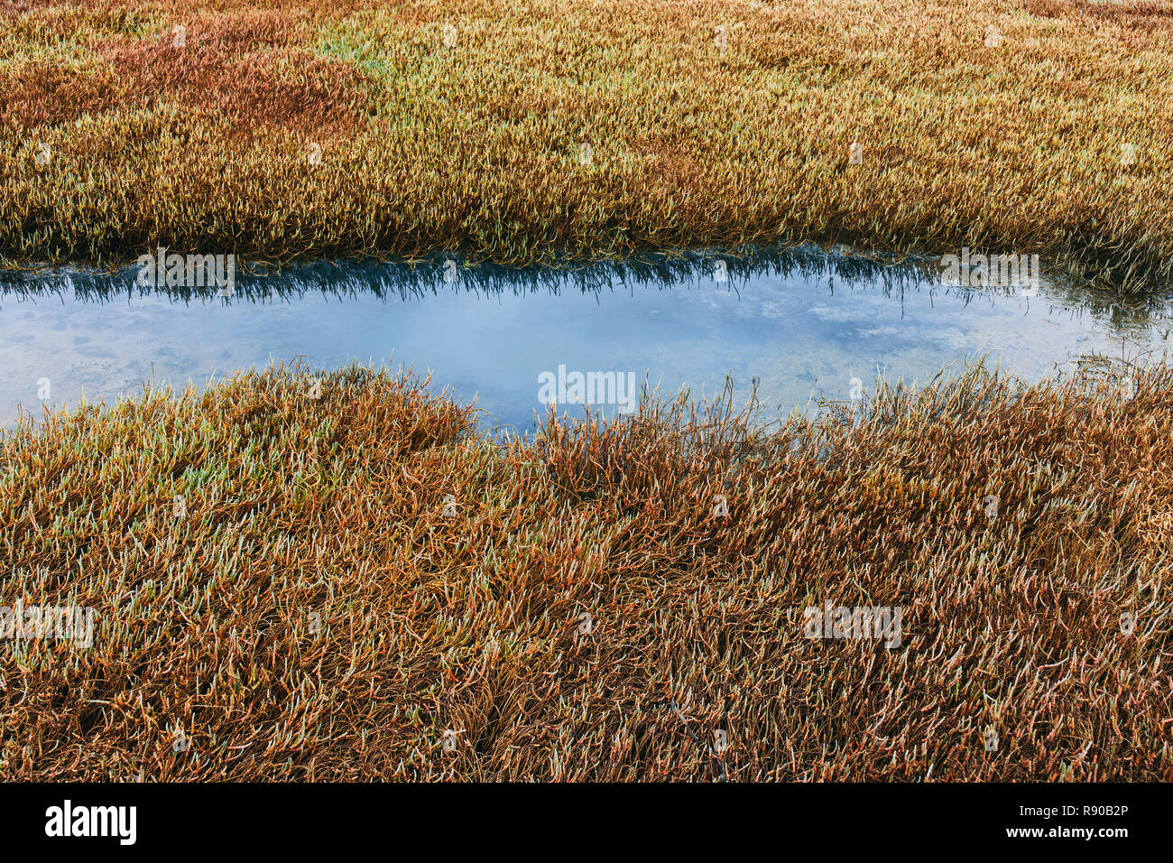 Detail of intertidal wetlands and water channels, Drakes Estero, Pt ...