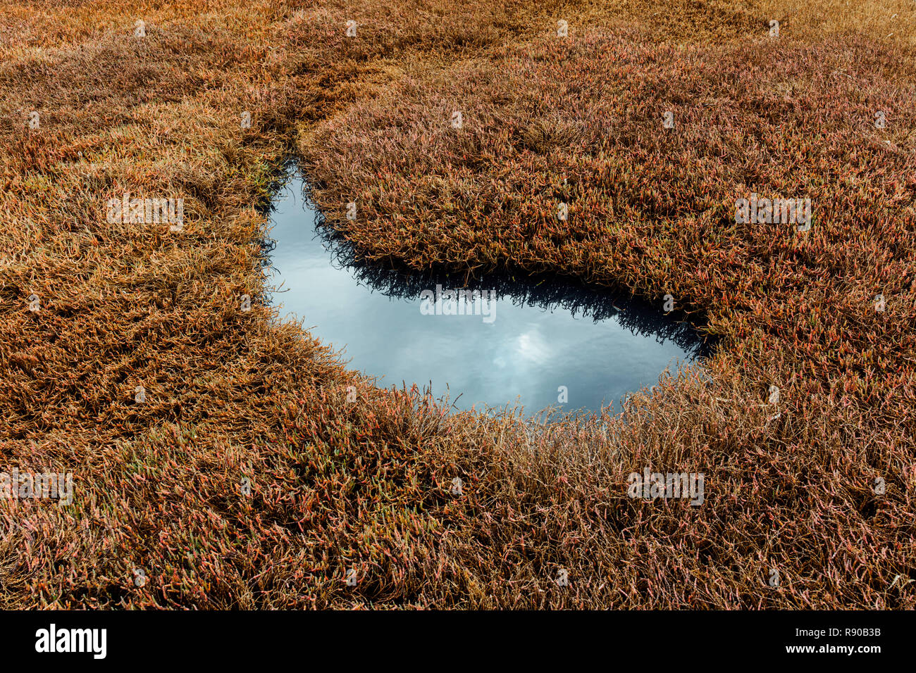 Drakes Pool High Resolution Stock Photography and Images - Alamy