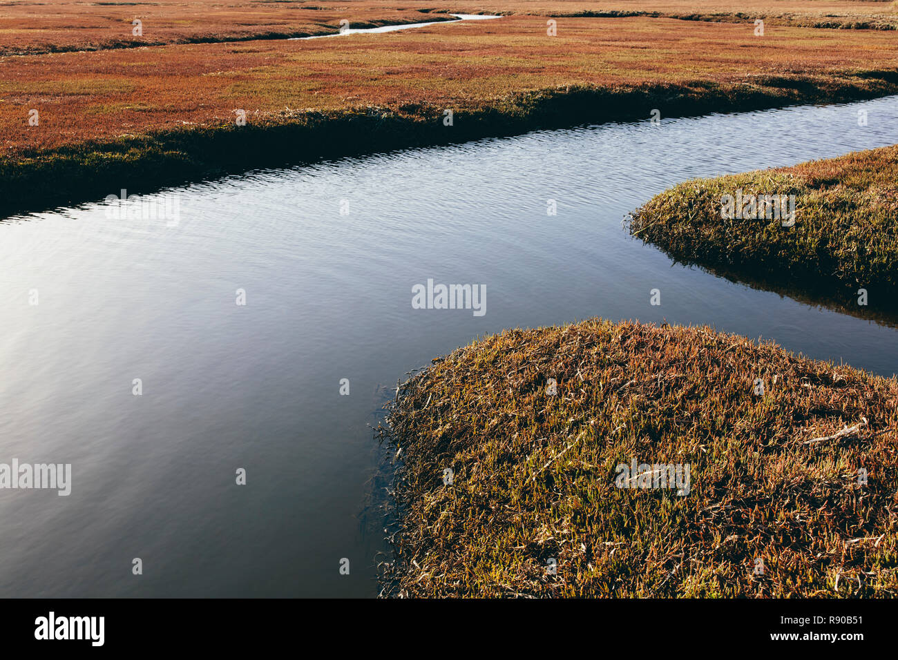 Intertidal wetlands hi-res stock photography and images - Alamy