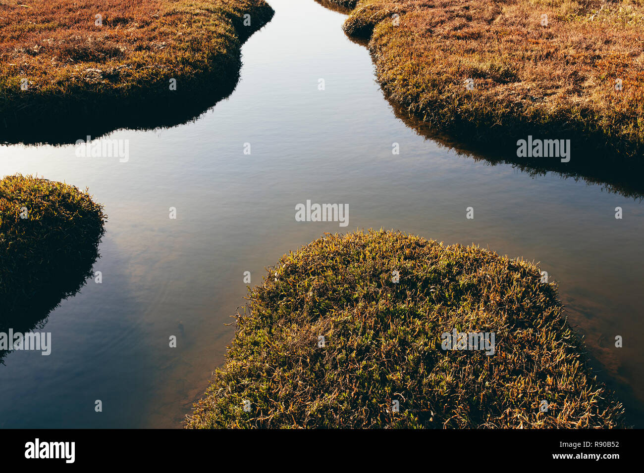 Intertidal wetlands hi-res stock photography and images - Alamy