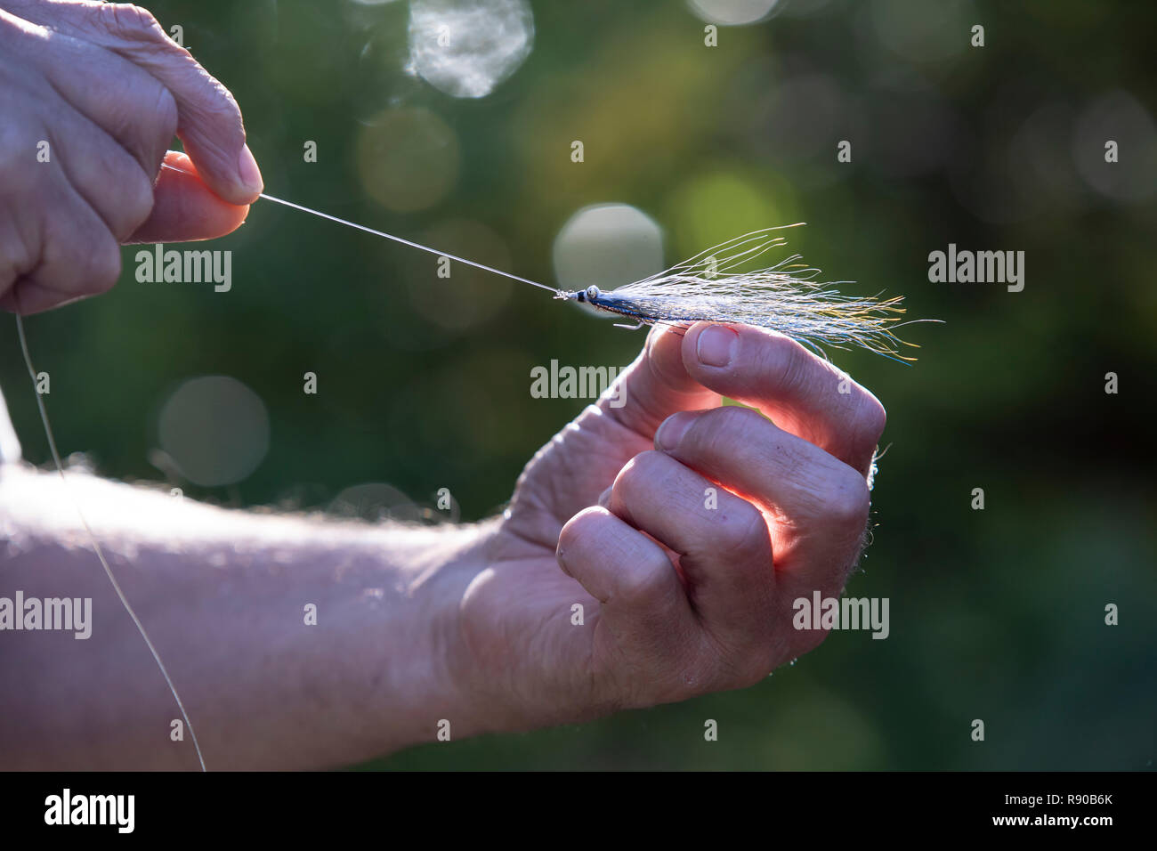 A close up of a fly fisherman tying a new feathery fishing fly onto his ...
