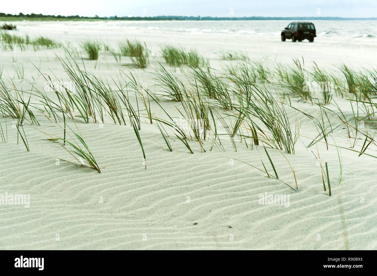 Sandy grassy beach hi-res stock photography and images - Alamy