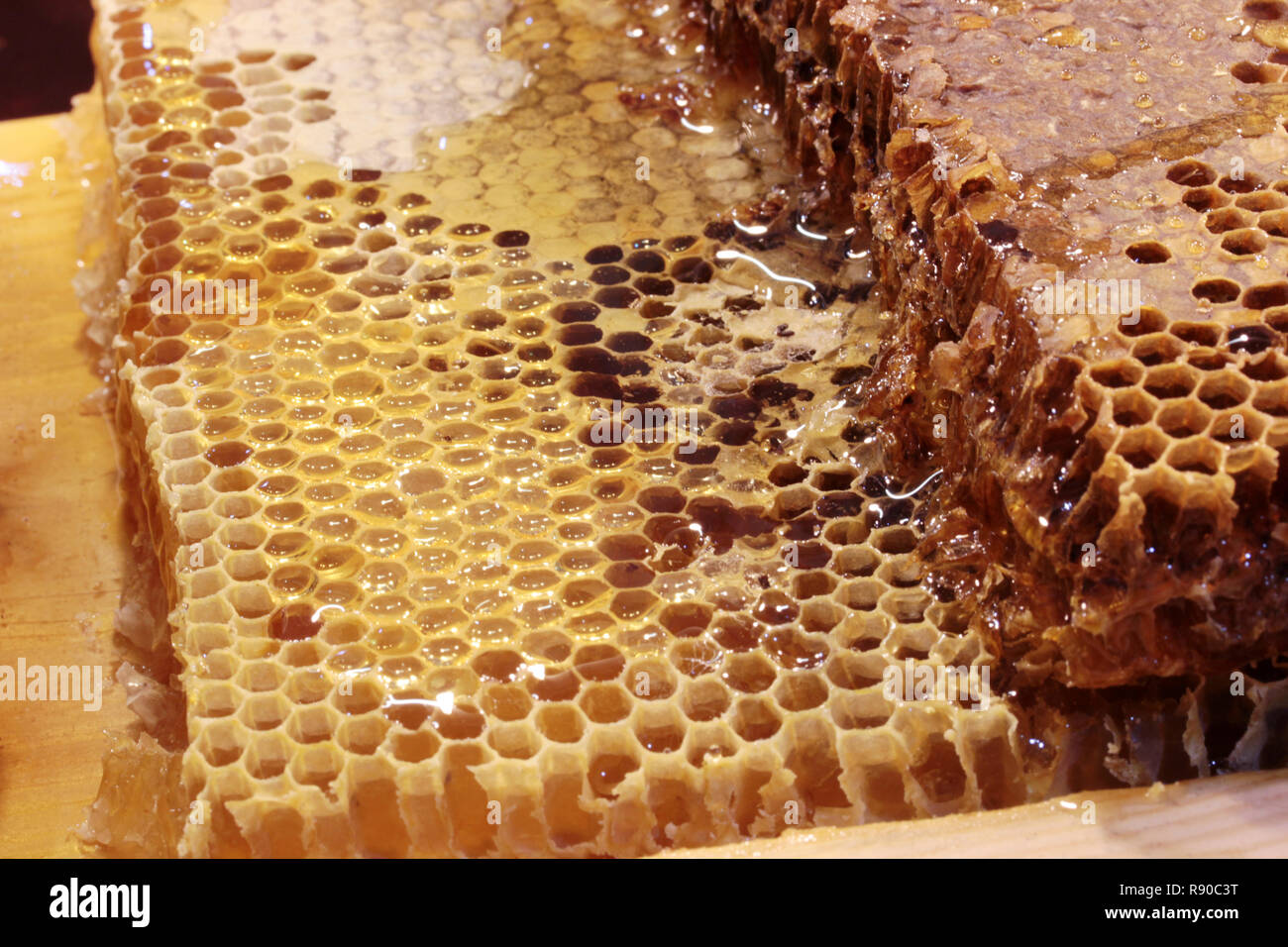 Fresh honey combs Stock Photo - Alamy