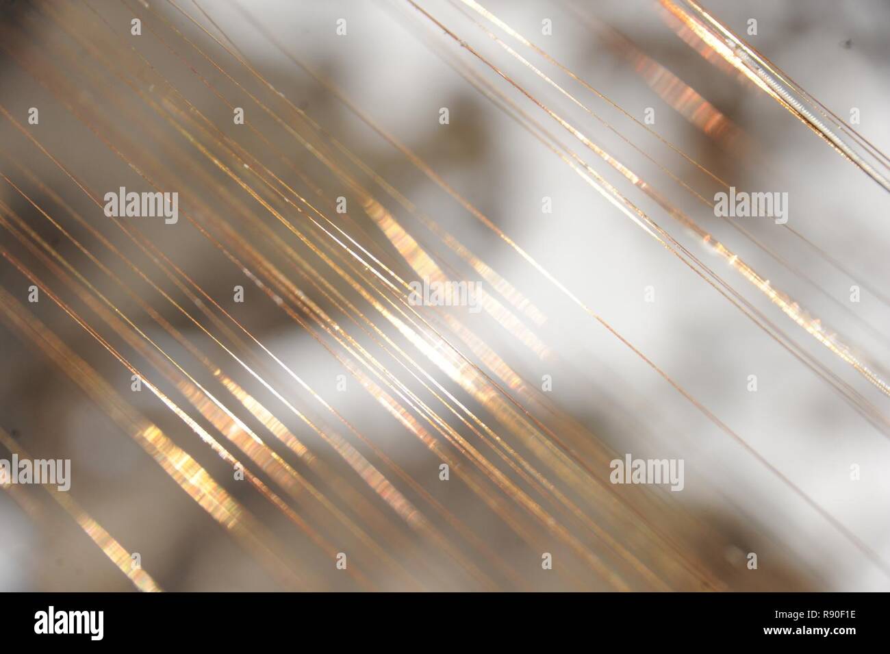 The wire from a TOW missile is seen at firing point 5 on range 19 at ...