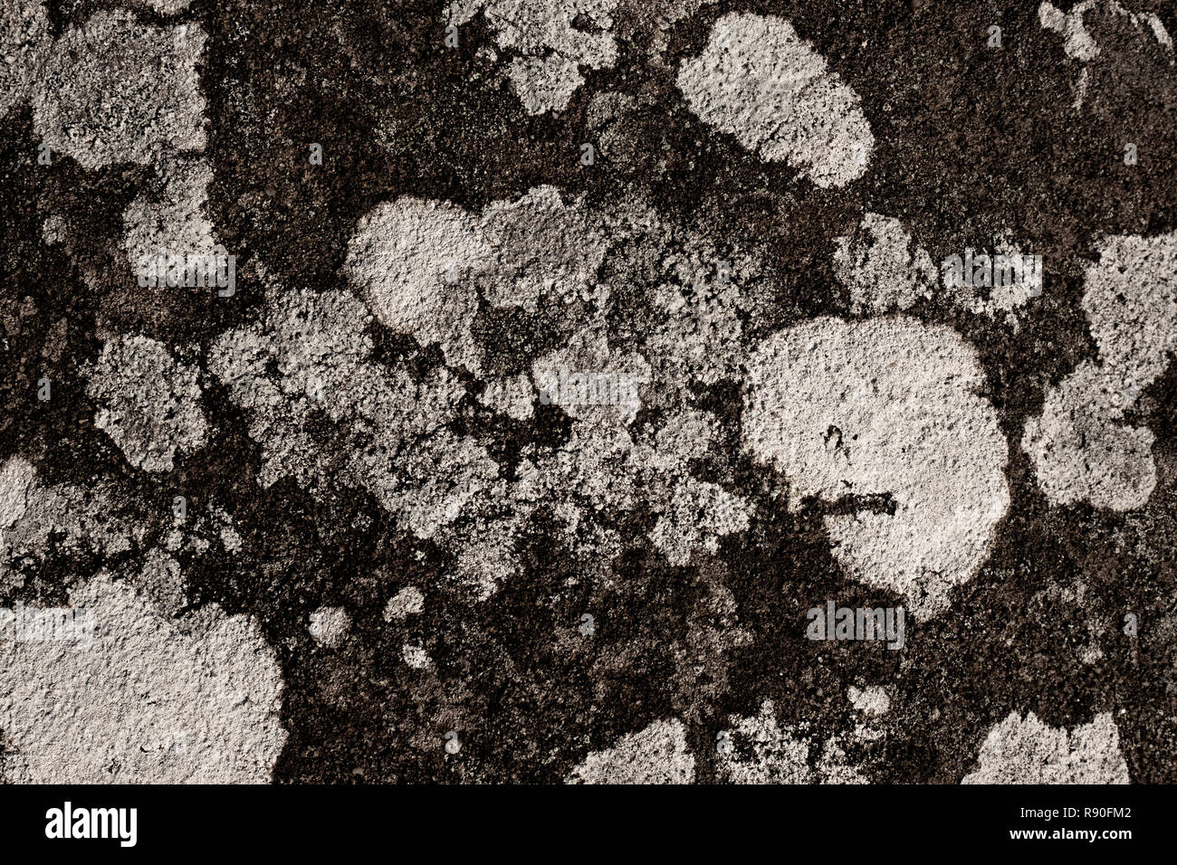 Lichen on rock rocks hi-res stock photography and images - Alamy
