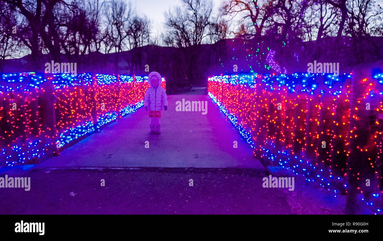 Wooden bridge decorated with red and blue Christmas lights Stock Photo ...