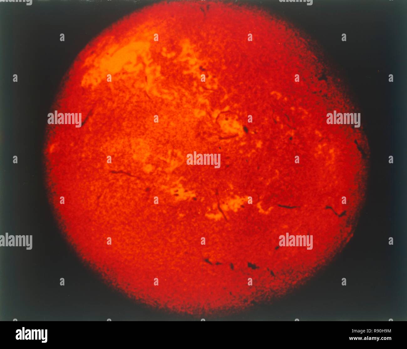 The Sun in H-alpha light. Creator: NASA Stock Photo - Alamy