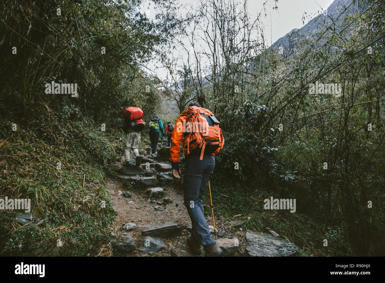 Hiking the Himalayas. Rear view of group of hikers on mountain path ...