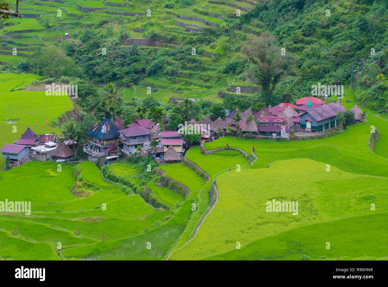 View of rice terraces fields in Banaue, Philippines. The Banaue rice ...