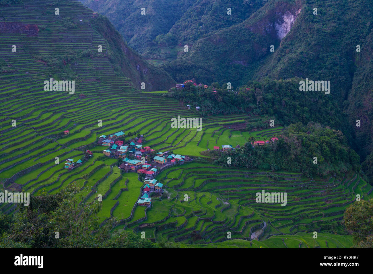 View of rice terraces fields in Banaue, Philippines. The Banaue rice ...