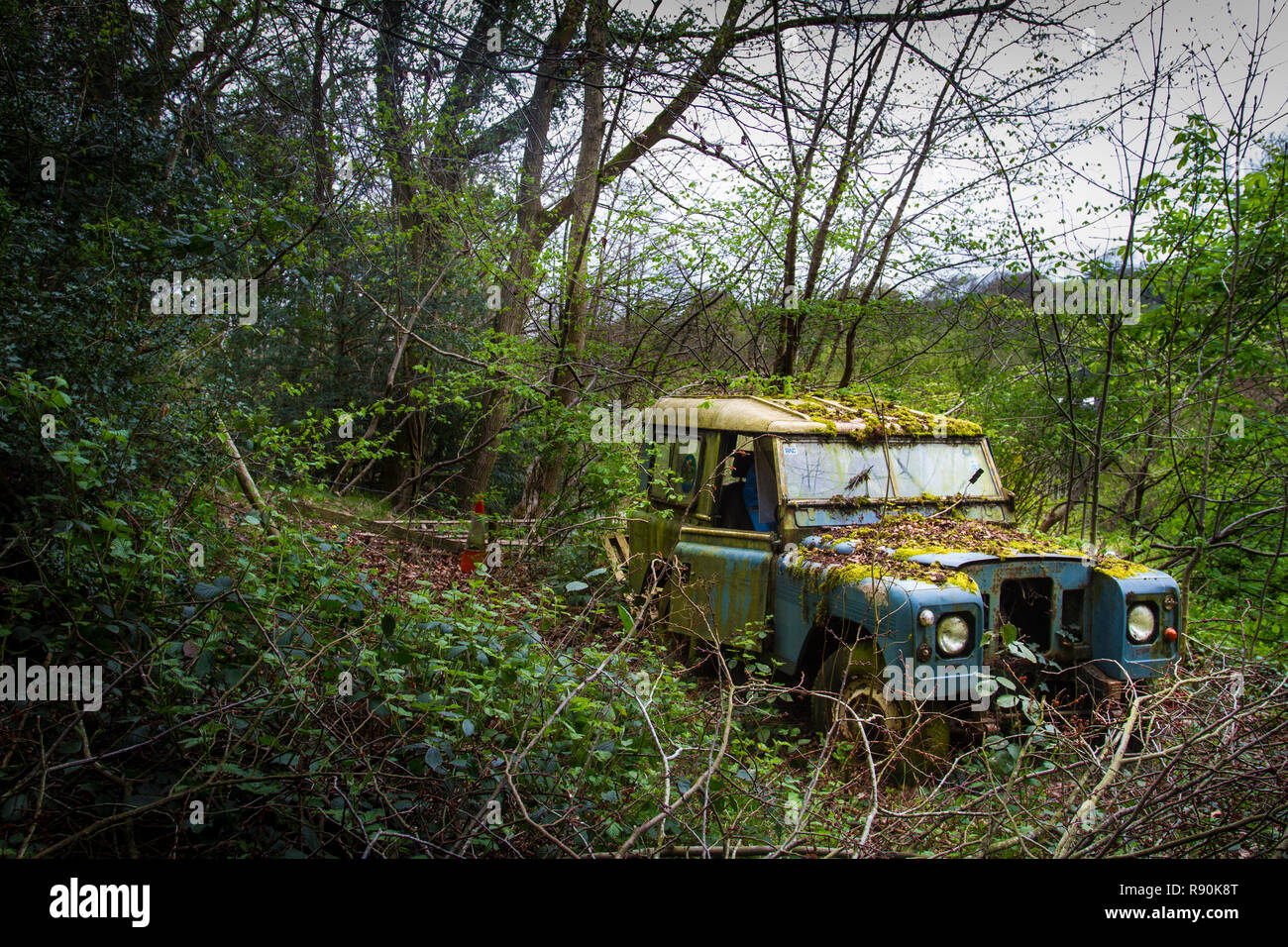 Car overgrown by weeds hi-res stock photography and images - Alamy