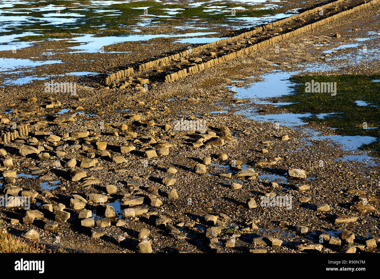 Island Vlieland wadden sea Friesland The Netherlands Stock Photo - Alamy