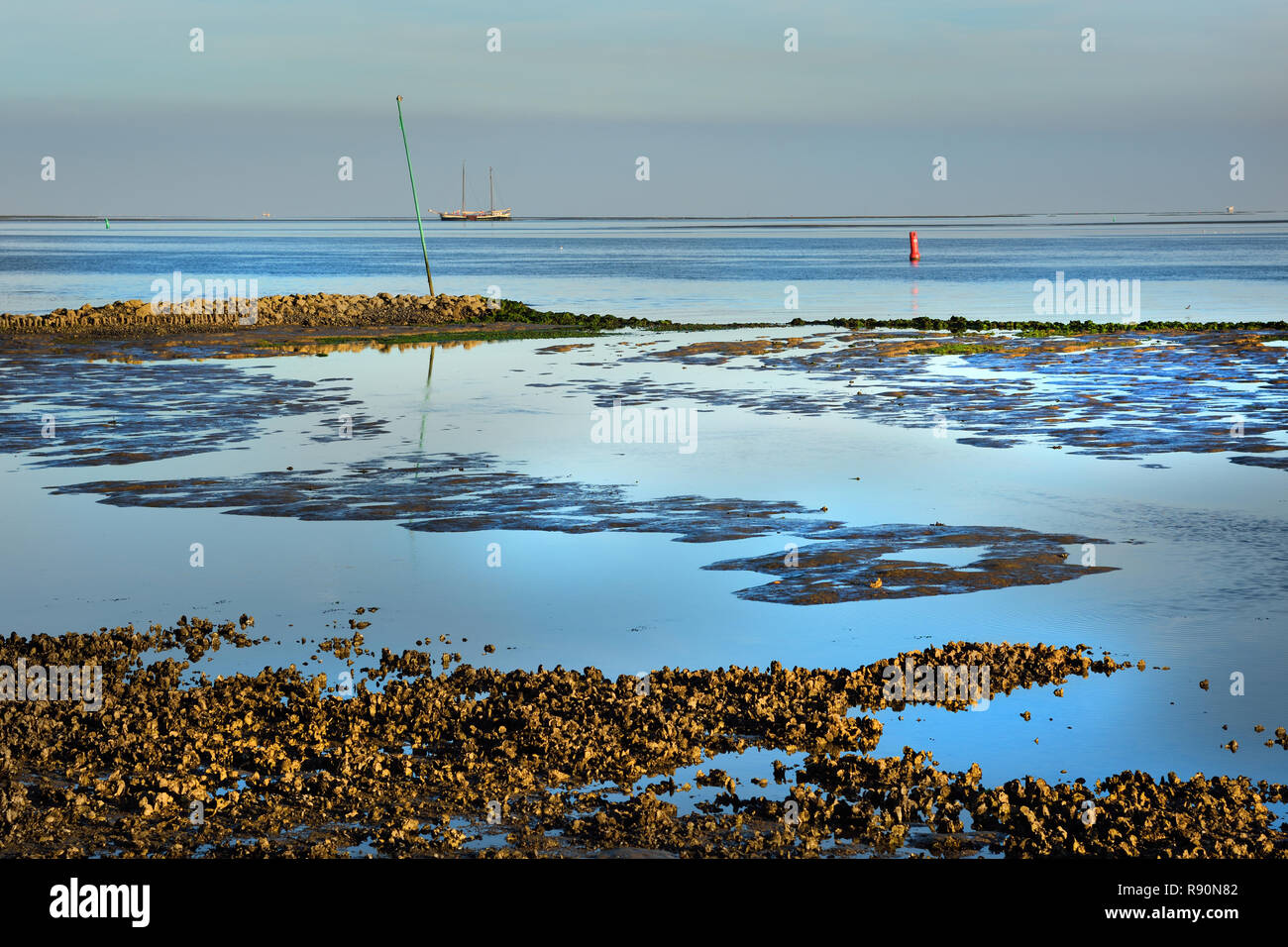 Island Vlieland wadden sea Friesland The Netherlands Stock Photo - Alamy