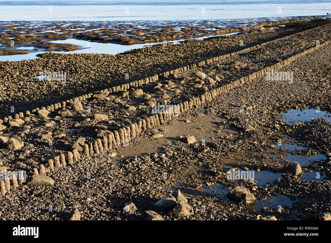 Island Vlieland wadden sea Friesland The Netherlands Stock Photo - Alamy