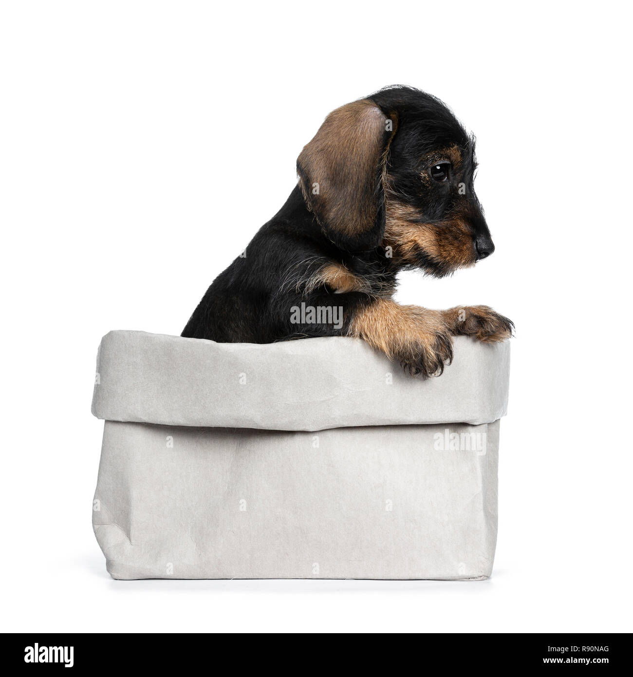 Edge profile Cut Out Stock Images & Pictures - Alamy