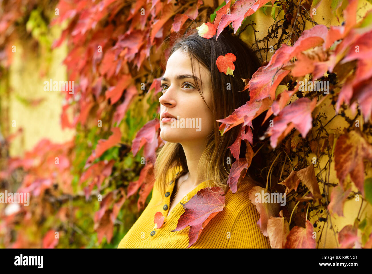 Lady posing near red leaves. Girl with pretty hair enjoys fall time ...