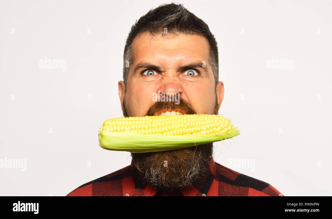 Farming and autumn crops concept. Guy shows his harvest. Farmer with ...