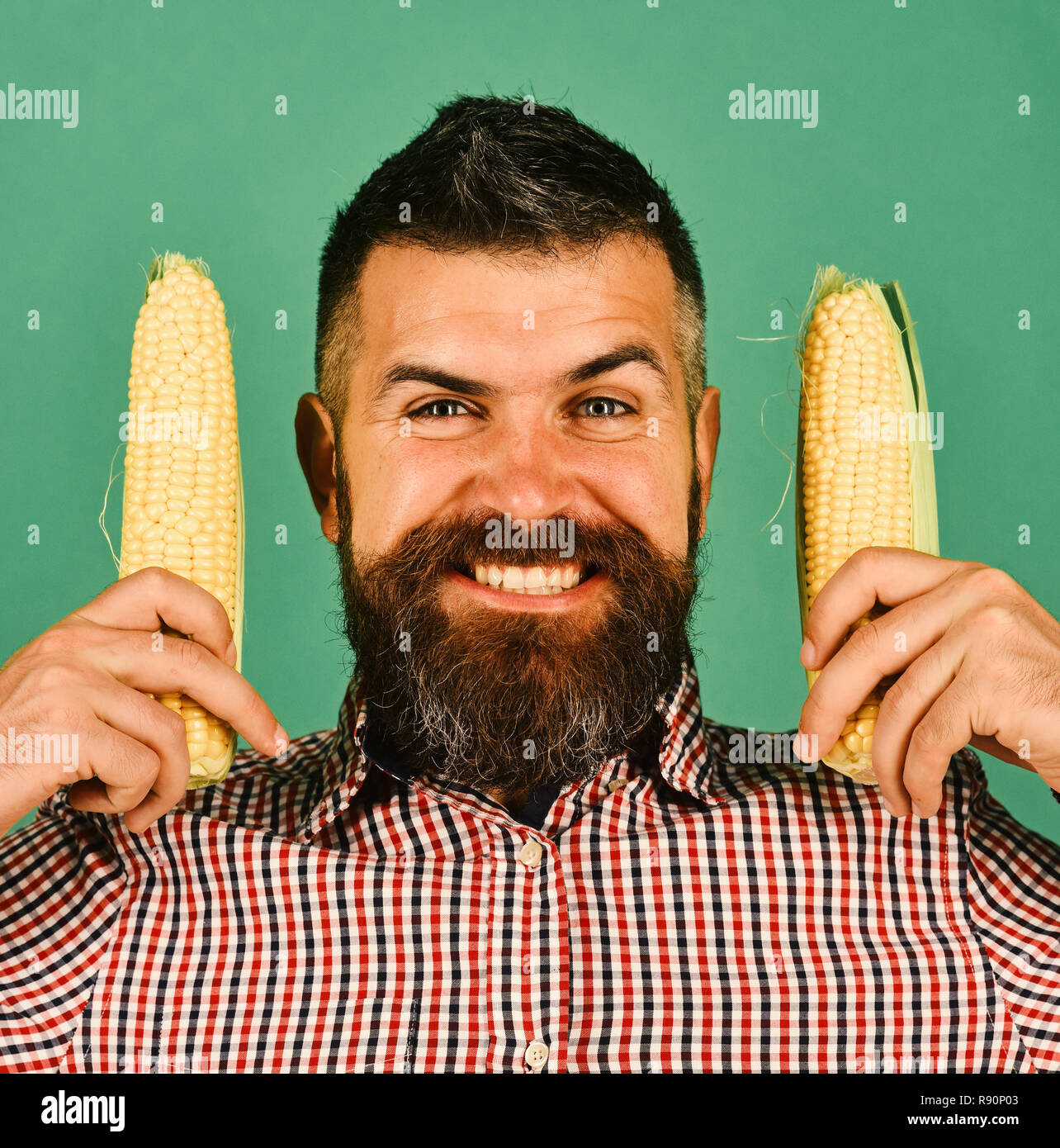 Agriculture and fall crops concept. Man with beard holds corn cobs ...