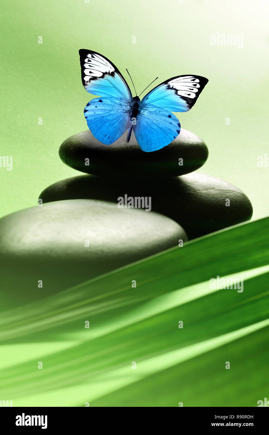 Butterfly, Black and Balanced Stones. Palm Leaf. Zen and Spa Concept ...