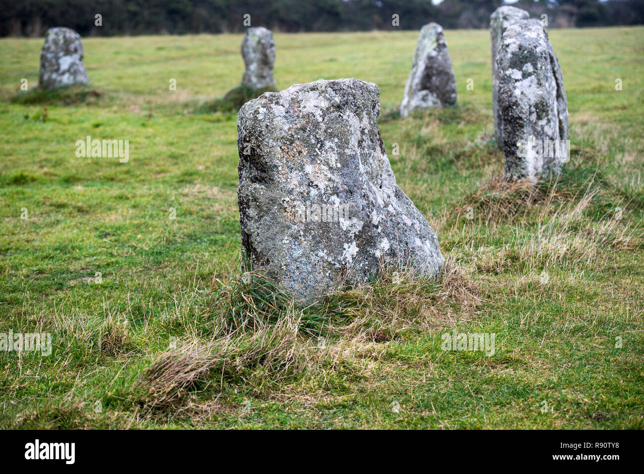 Some of the standing stones that make up the late Neolithic stone ...