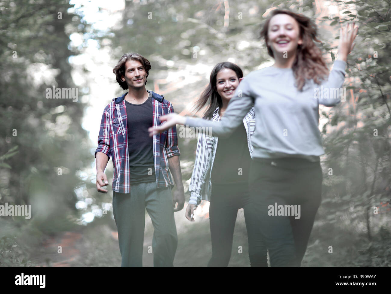 creative team, while Hiking in the woods Stock Photo - Alamy