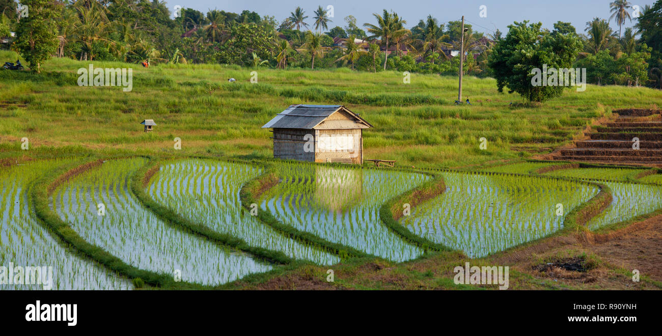 Panorama bali hi-res stock photography and images - Alamy