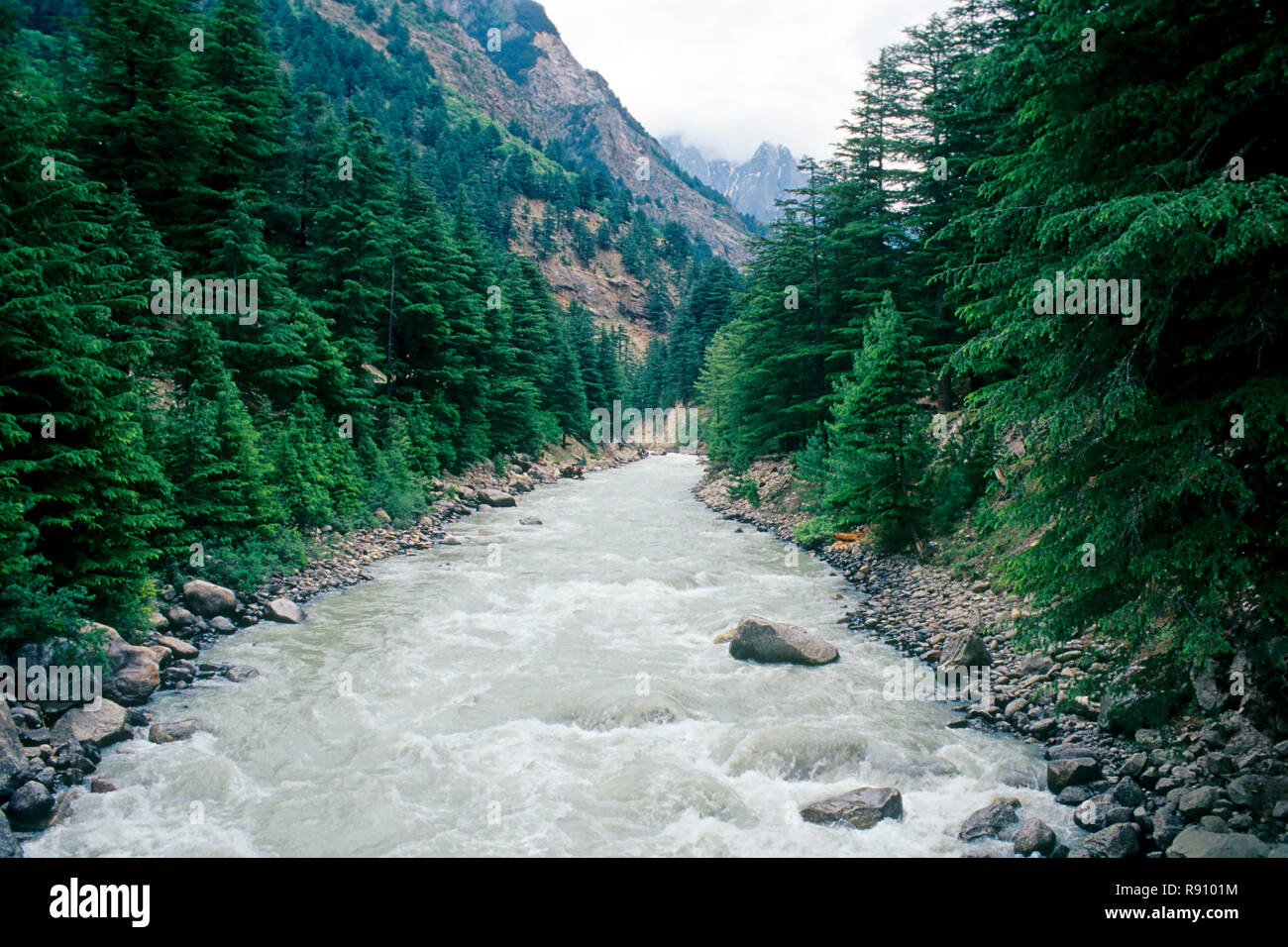 Bapsa River, kinnaur, himachal pradesh, india Stock Photo - Alamy