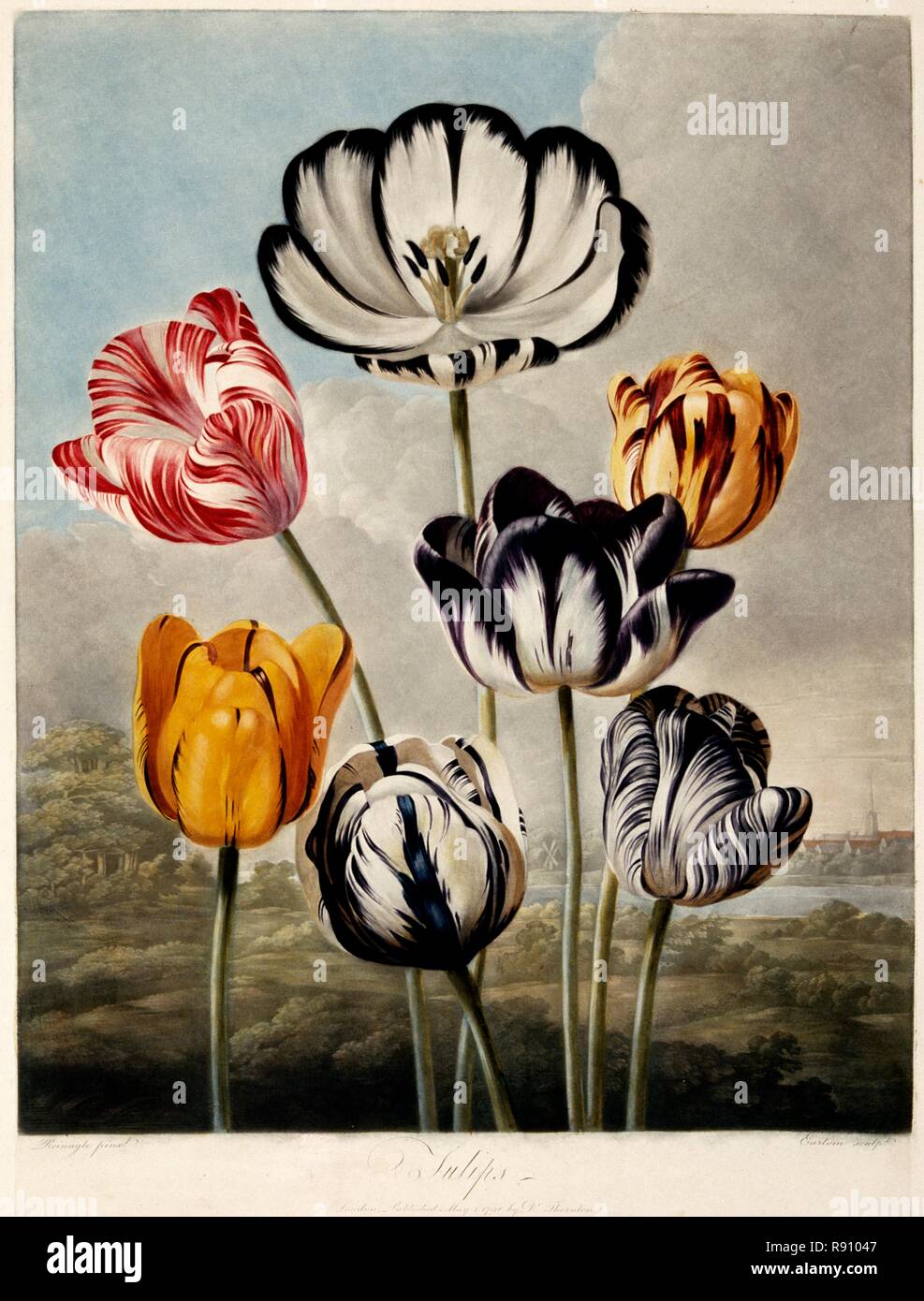 Reinagle hi-res stock photography and images - Alamy