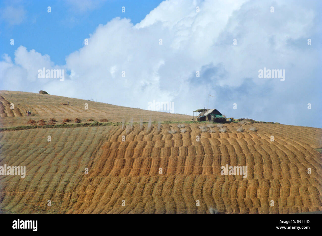 Landscape at Meghalaya, India Stock Photo - Alamy