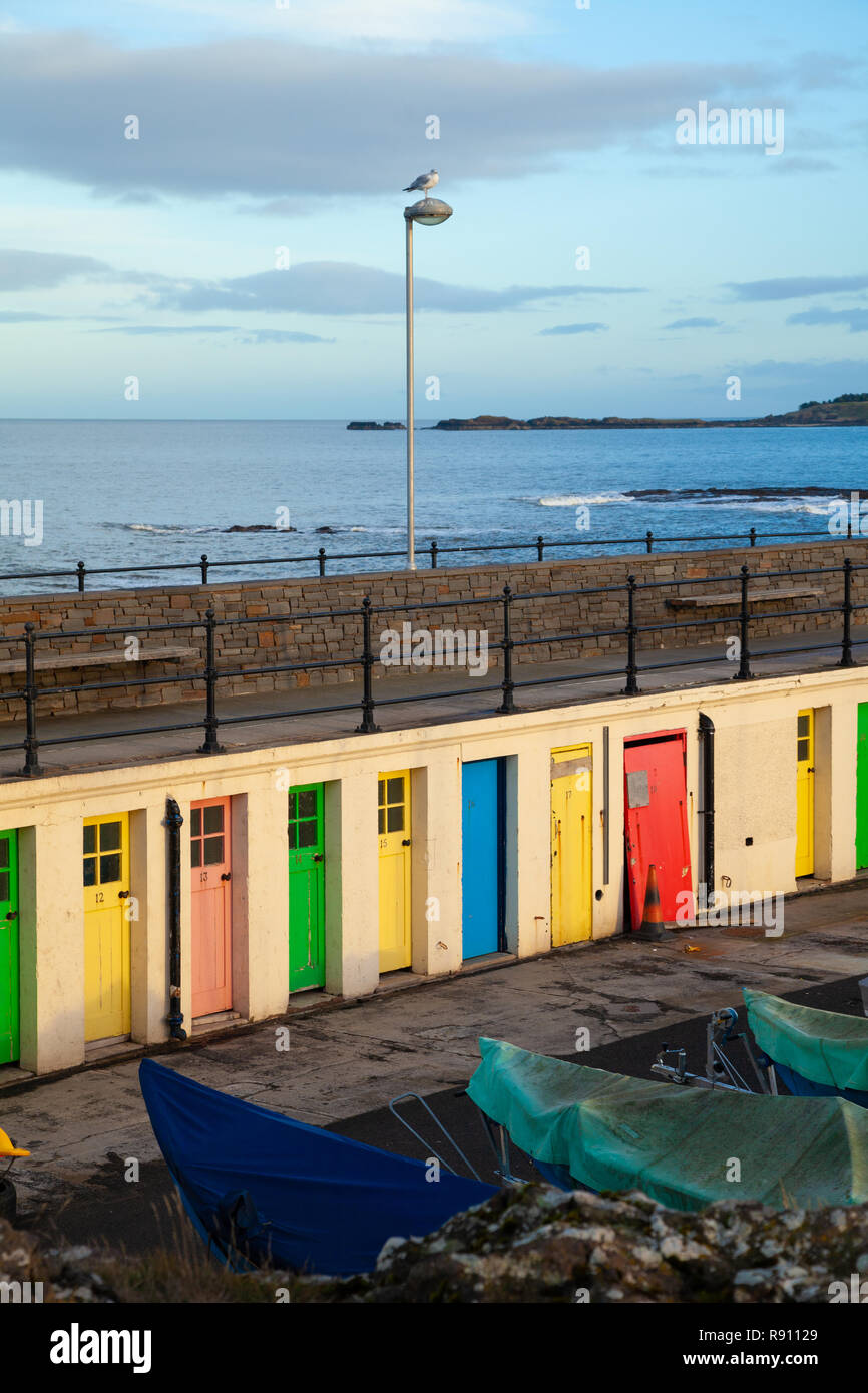 Outdoor pool scotland winter hi-res stock photography and images - Alamy