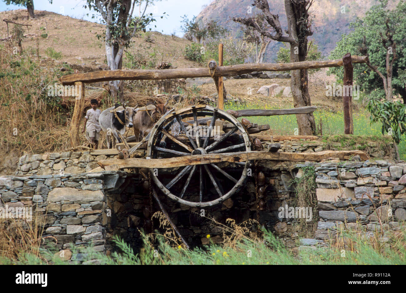 Irrigation circles hi-res stock photography and images - Alamy