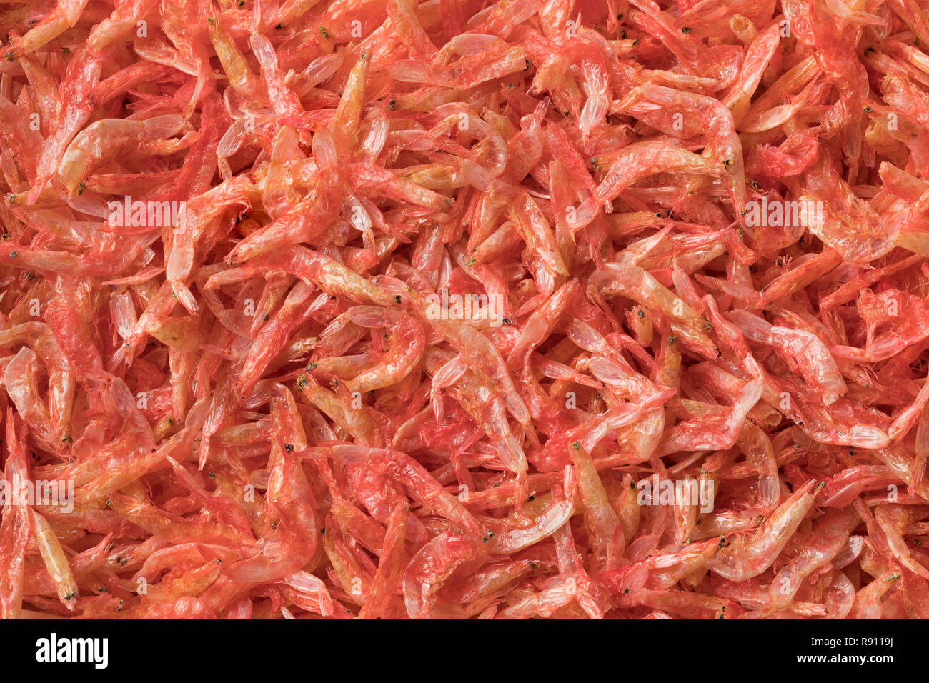 Traditional Japanese Sakura-ebi, dried small pink shrimps close up full ...