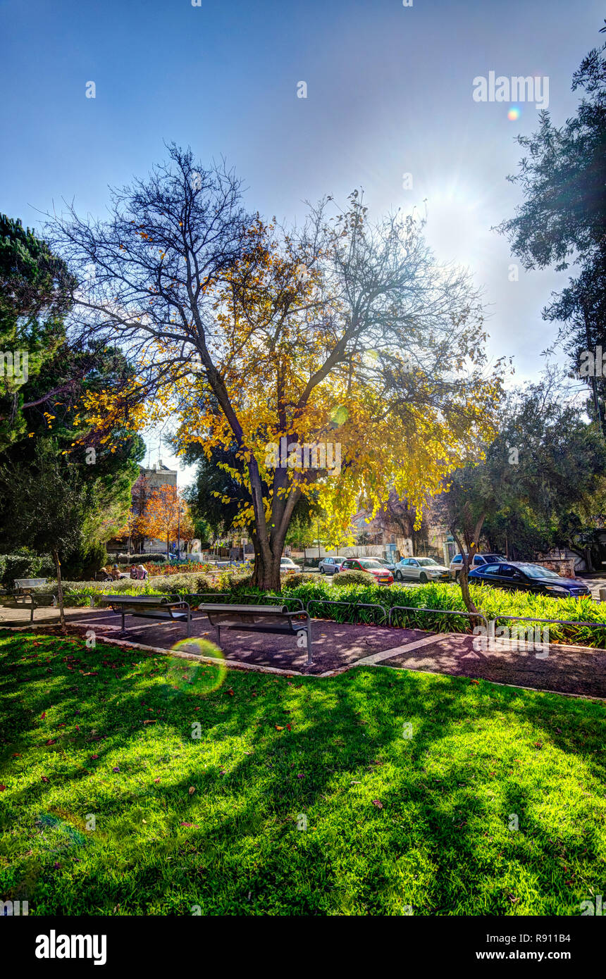 Beautiful Park in Israel west Jerusalem At sunny Day at Fall Tim Stock ...