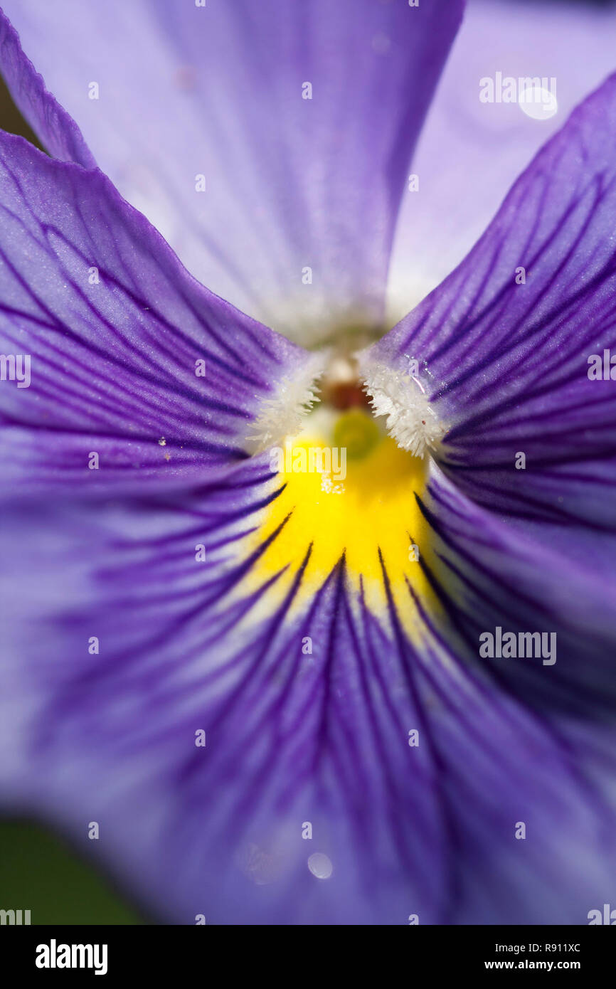 Vacqueyras hi-res stock photography and images - Alamy