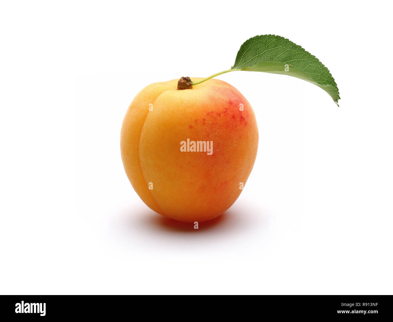 Apricot with leaf hi-res stock photography and images - Alamy