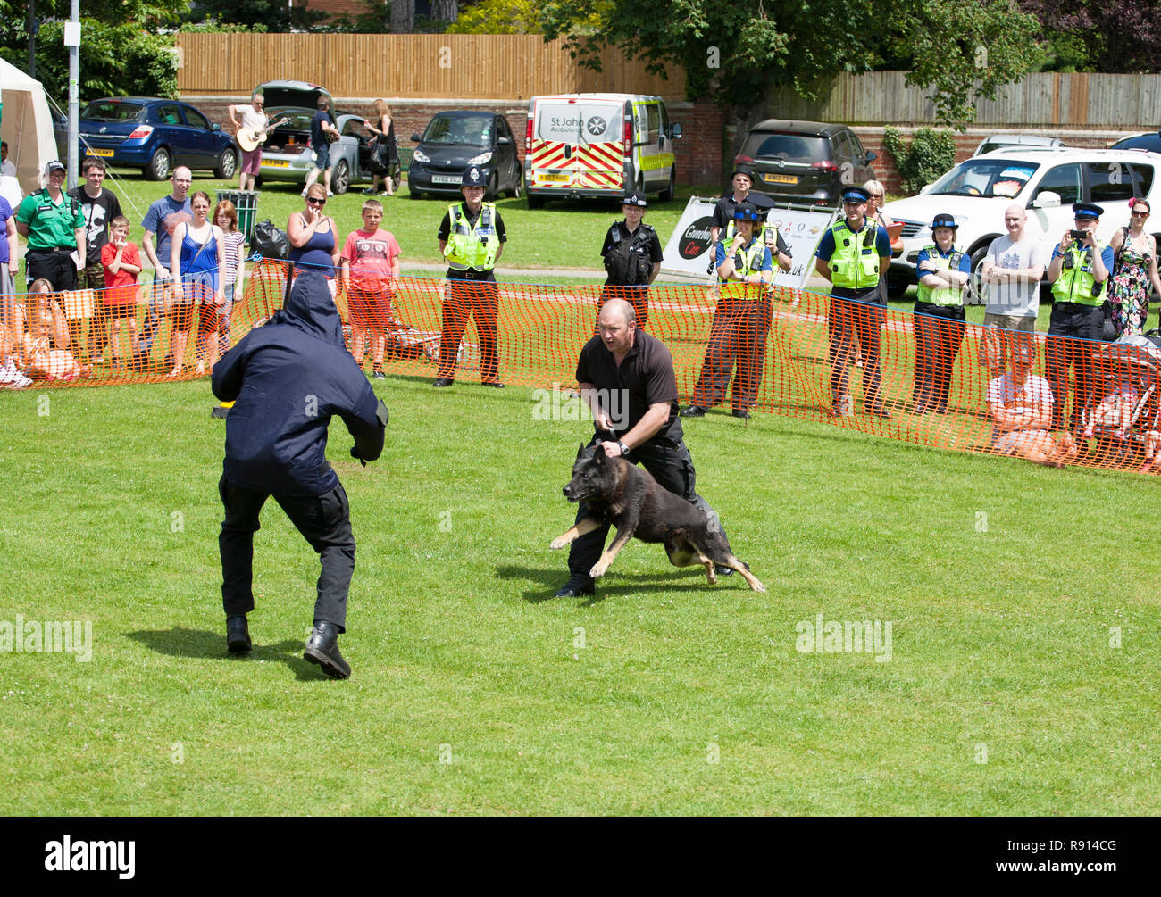 Police dog german shepherd hi-res stock photography and images - Alamy
