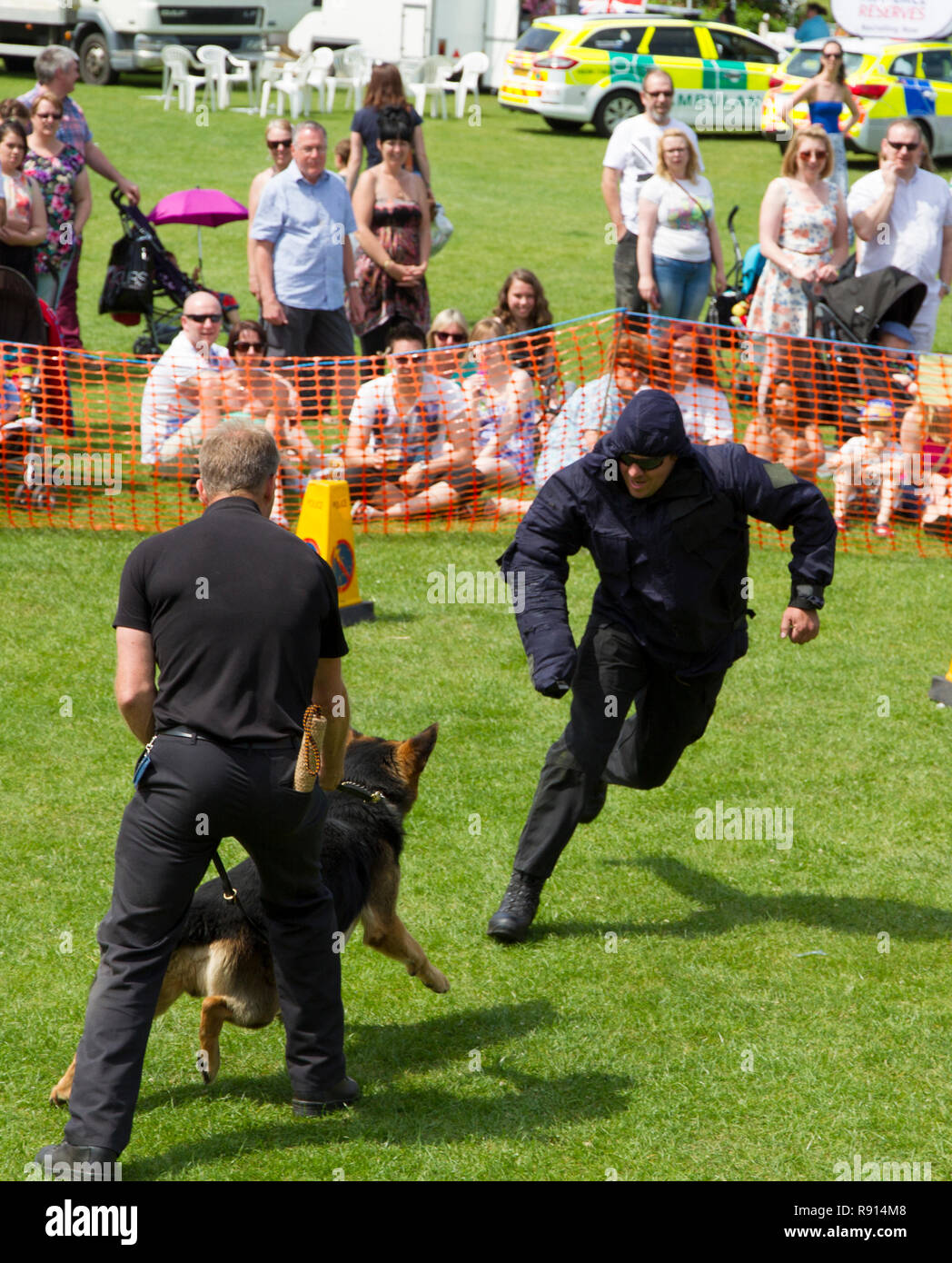Police alsatian hi-res stock photography and images - Alamy