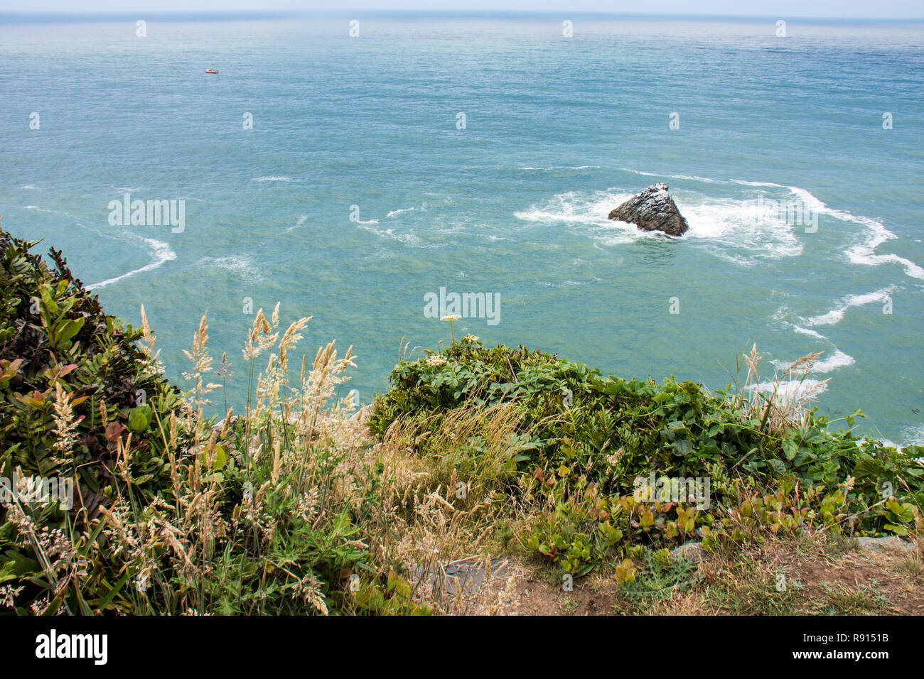 View of the Pacific Ocean at Patrick's Point State Park near Trinidad ...