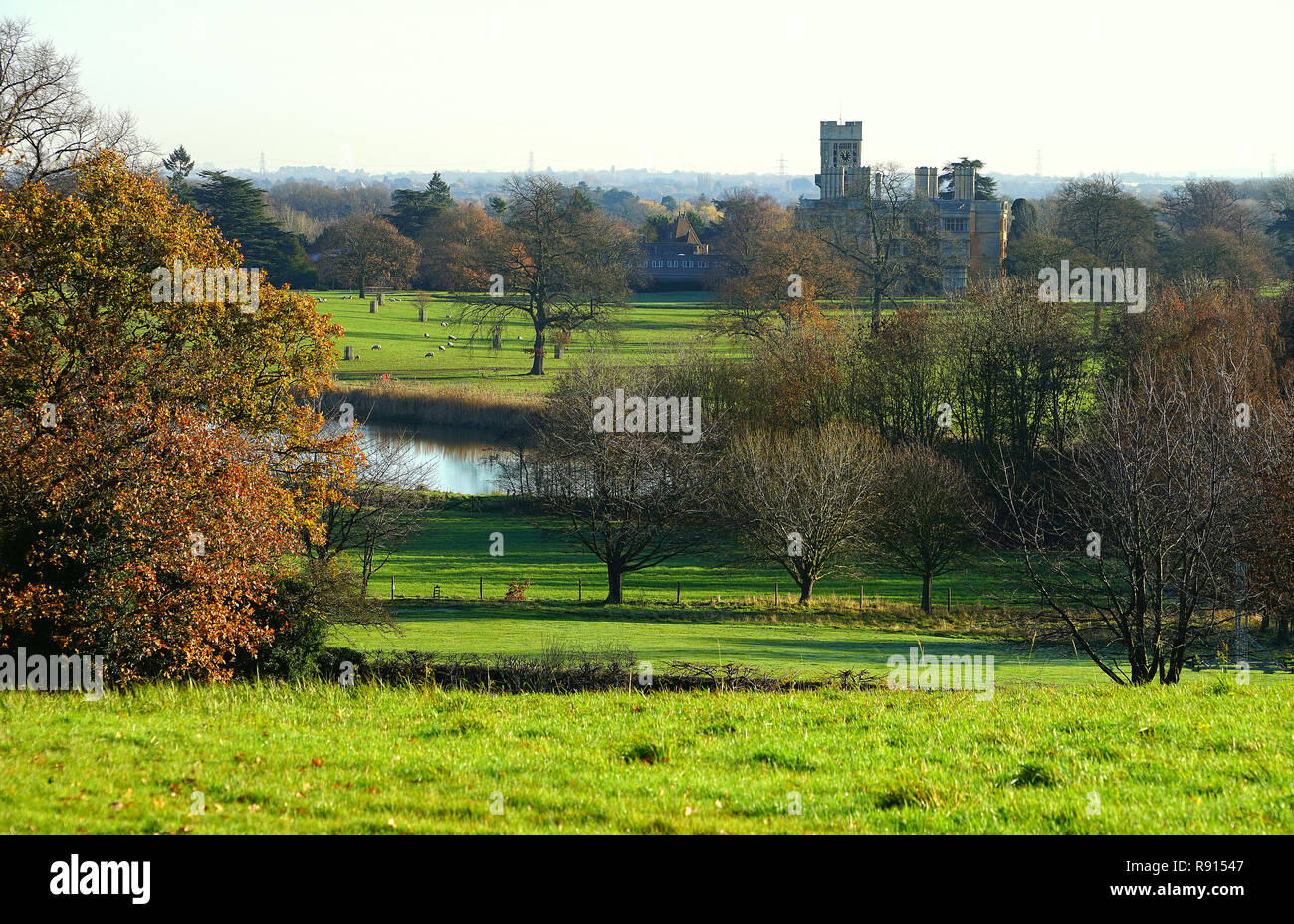 A view across Old Warden Park Stock Photo - Alamy