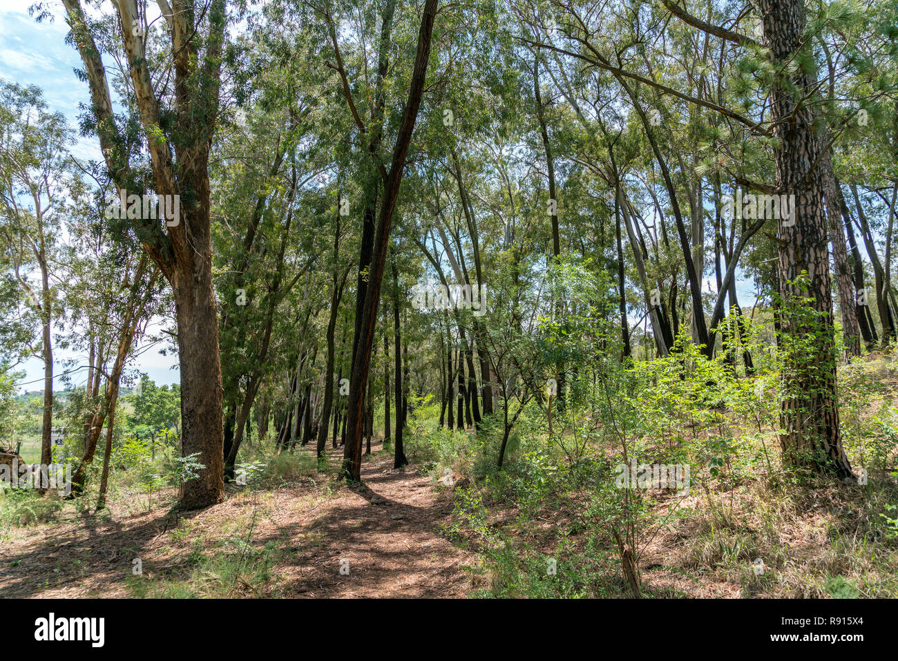 Smuts house museum is the historic residence of General Jannie Smuts, a ...