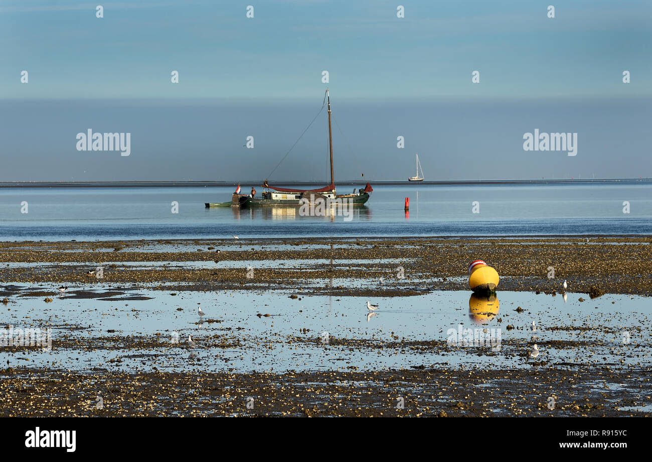 Island Vlieland wadden sea Friesland The Netherlands Stock Photo - Alamy