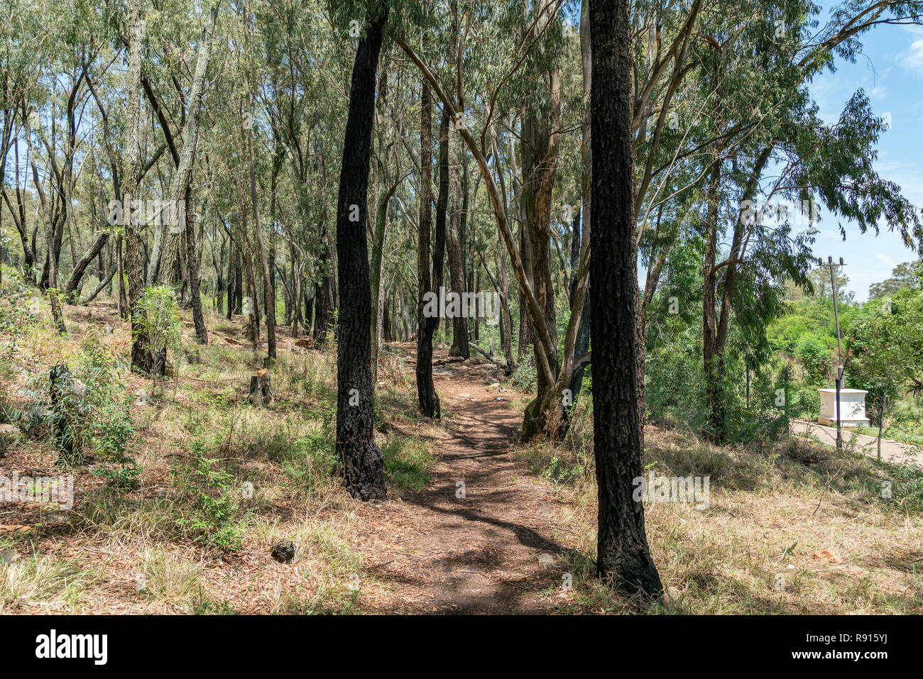 Jan smuts house hi-res stock photography and images - Alamy