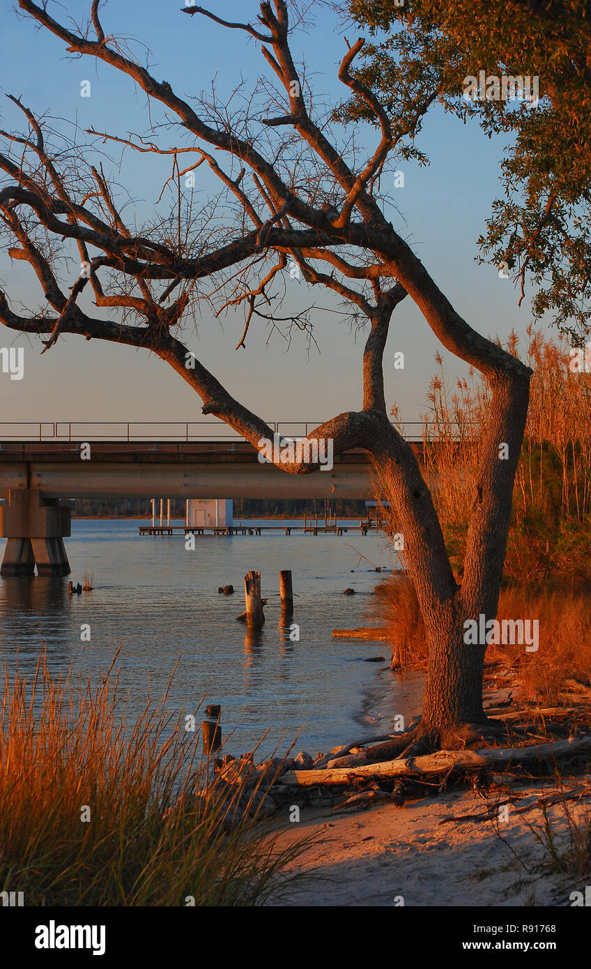 Front beach ocean springs hi-res stock photography and images - Alamy