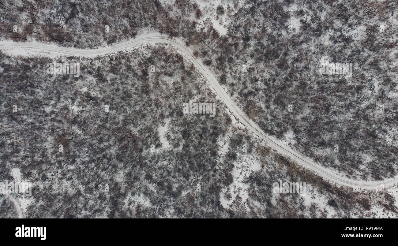 aerial view of forest covered with snow ,bird's eye view Stock Photo ...