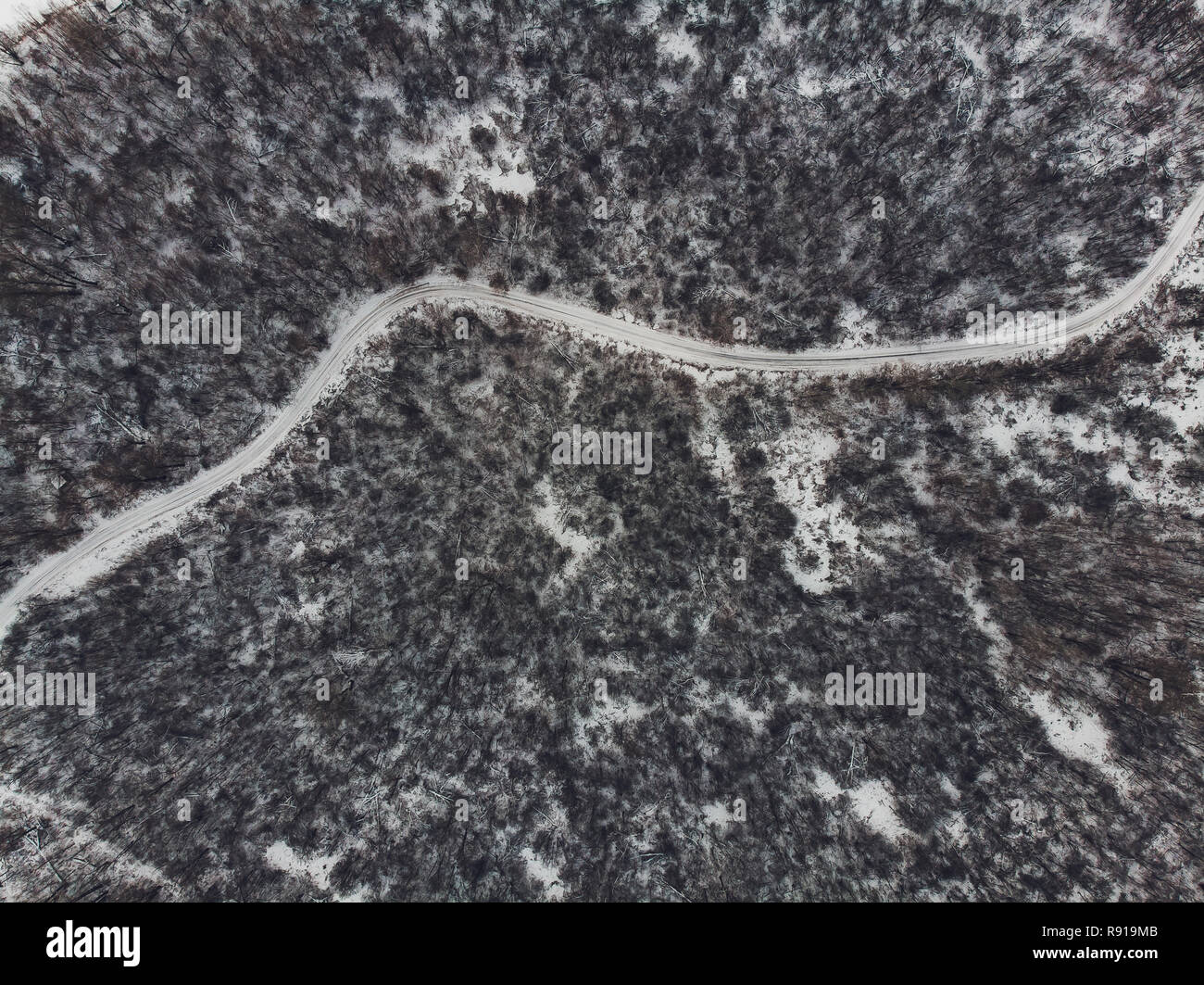 Birds Eye View Snow Tree High Resolution Stock Photography and Images ...